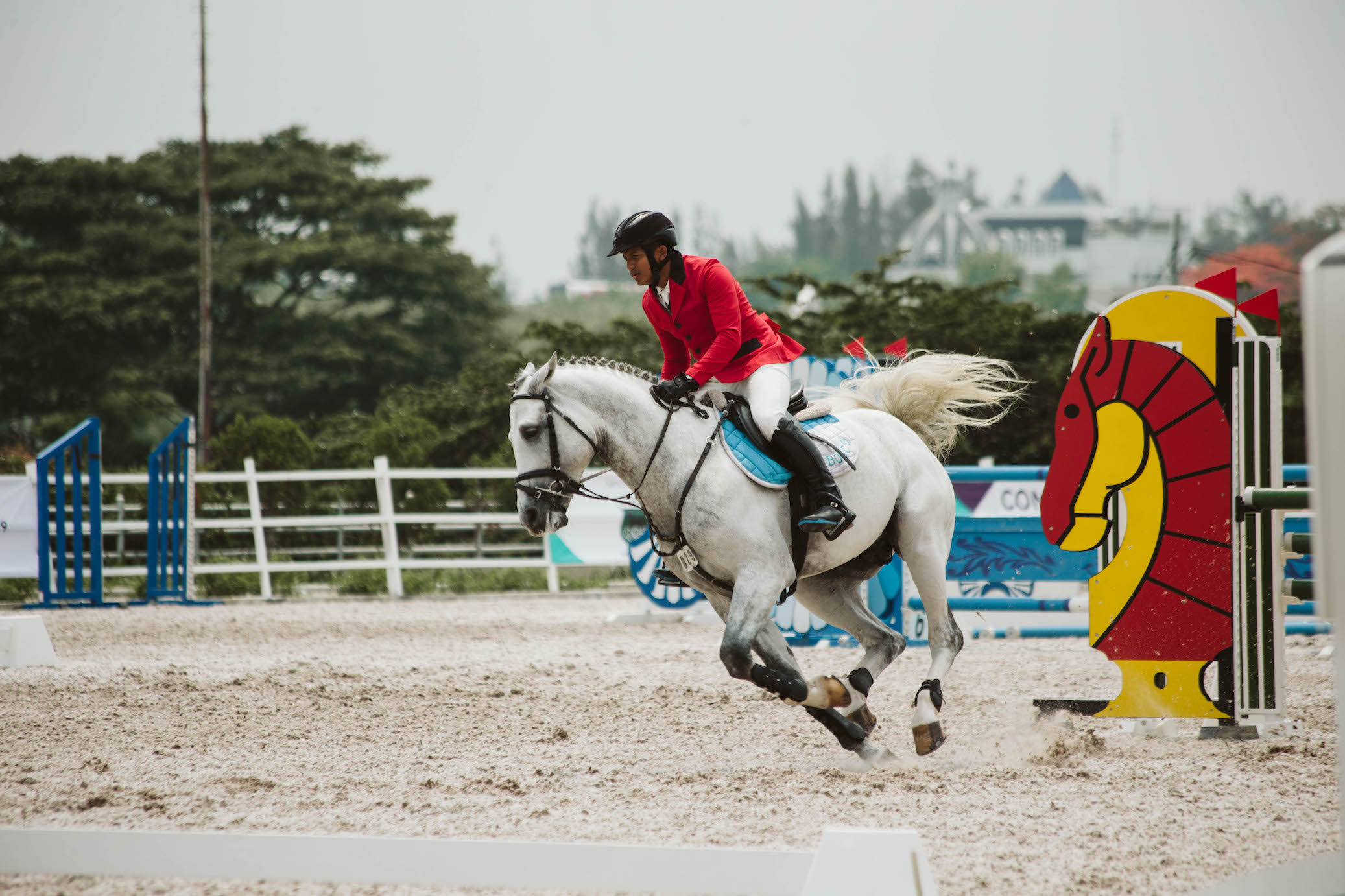 EQUESTRIAN CHAMPIONS LEAGUE 2020